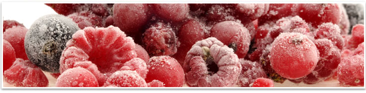 Grossiste alimentaire des professionnels - Transgourmet.fr